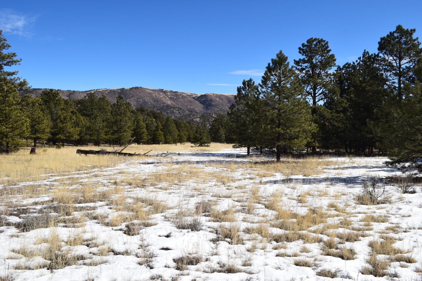 Big Meadows - Rocky Mountain Ranch Land
