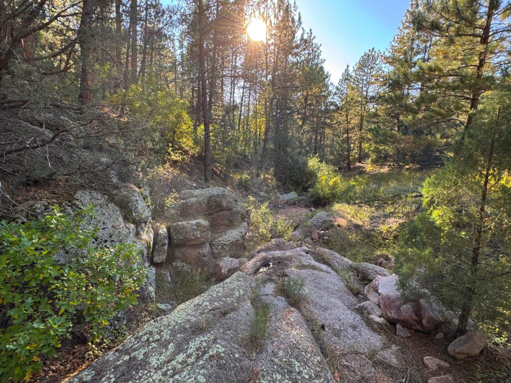 Old Crow Hollow - Rocky Mountain Ranch Land